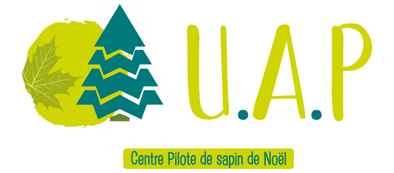 UAP