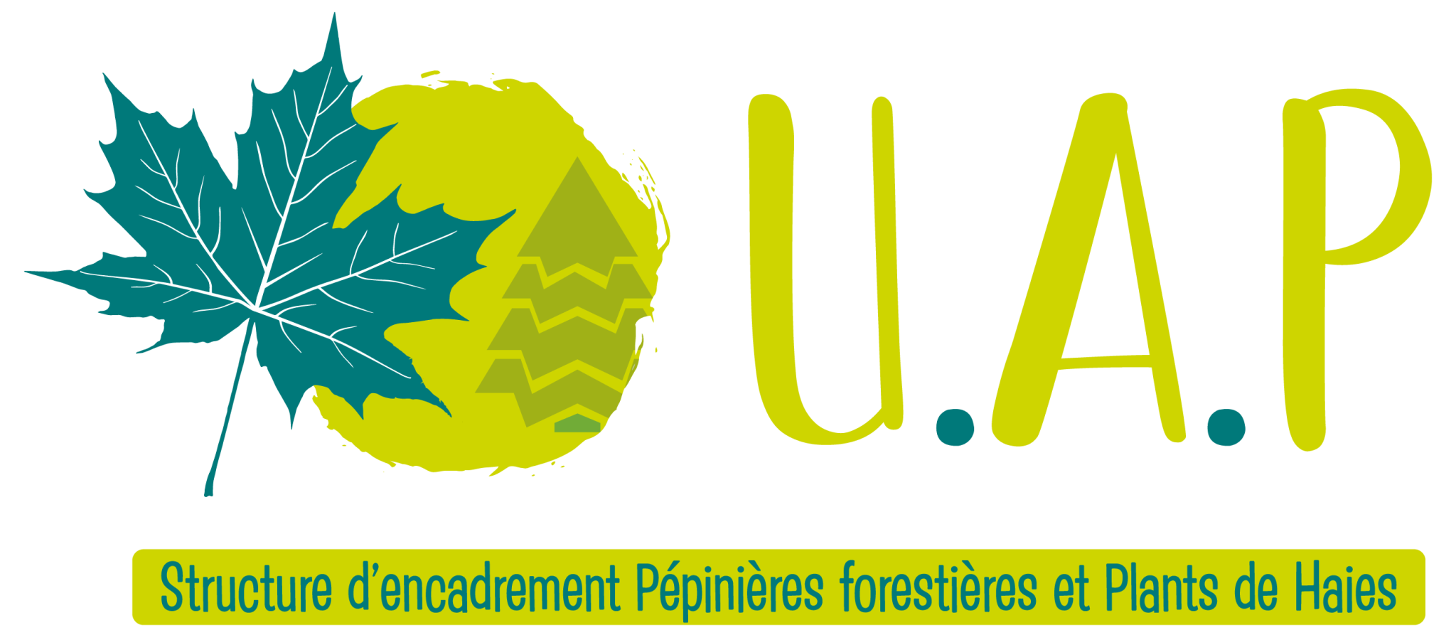 Fichier écologique des essences – UAP